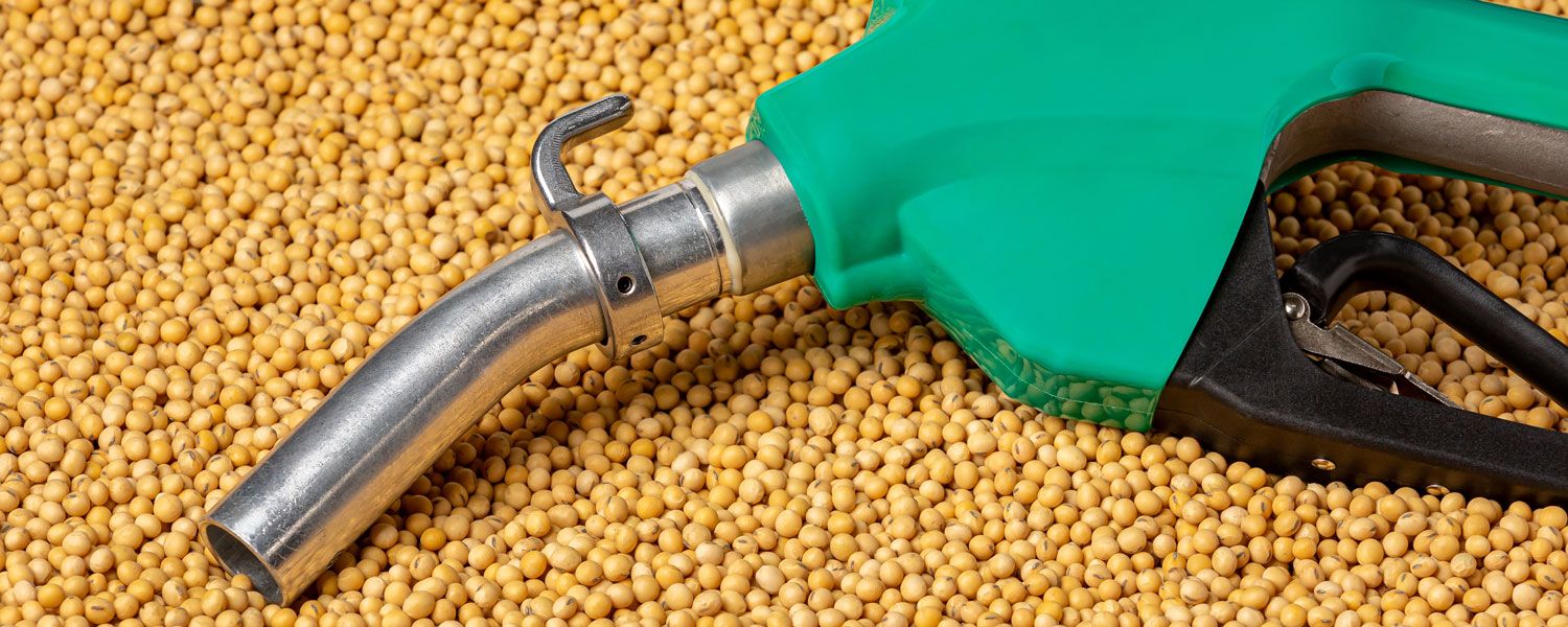 The Expanding Role of Renewable Fuel Policy as a Demand Driver in ...