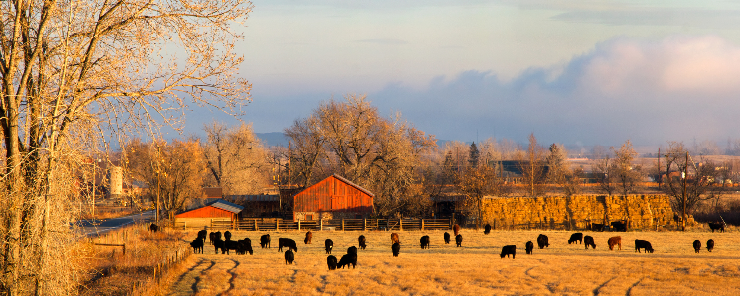 Fed Listens - Federal Reserve Bank of Kansas City