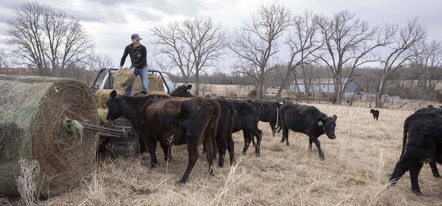 Cattle industry’s complex pressures and prospects - Federal Reserve ...