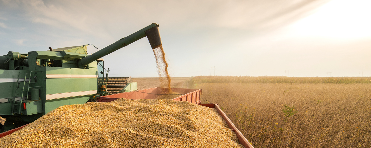 Strong Farm Loan Demand Supports Ag Bank Earnings - Federal Reserve ...
